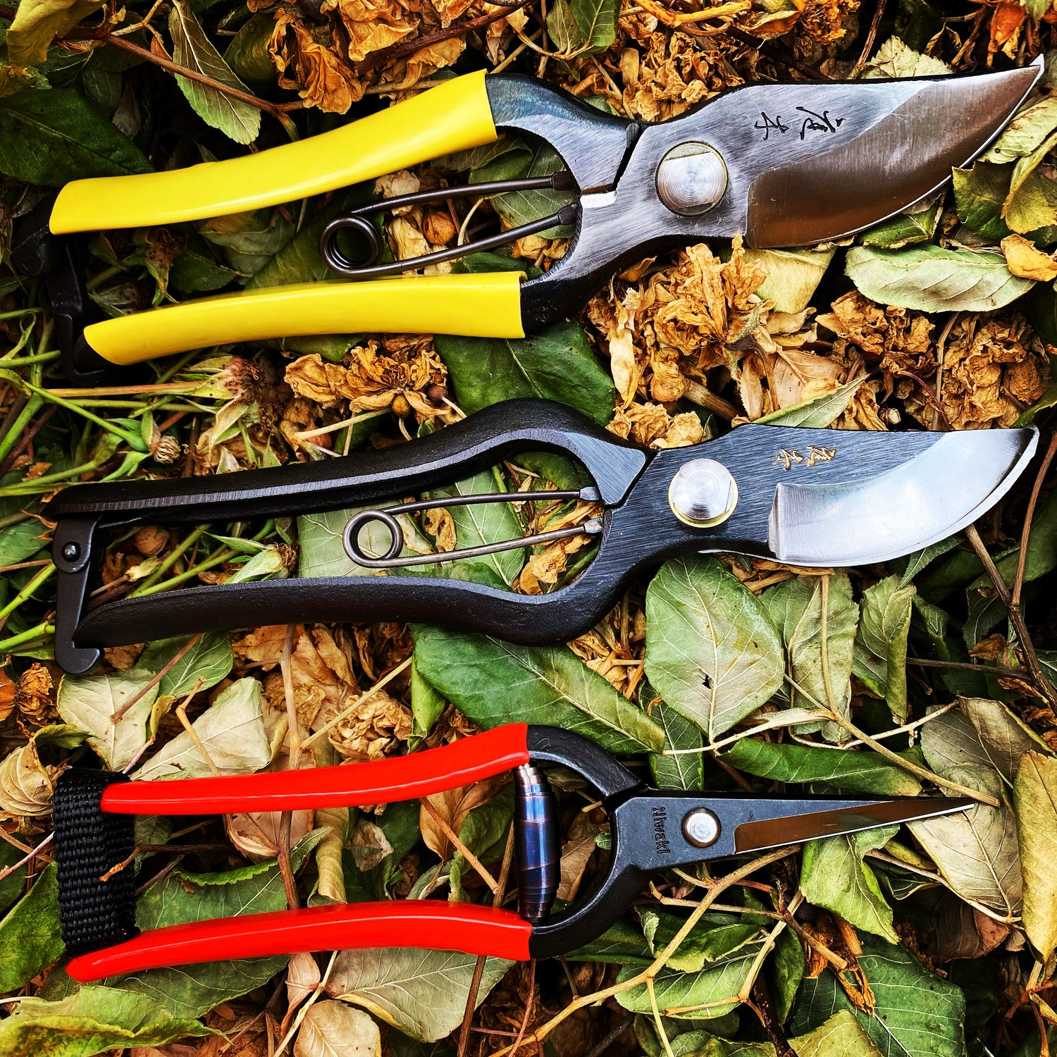 All you need for deadheading... – Tinker and Fix