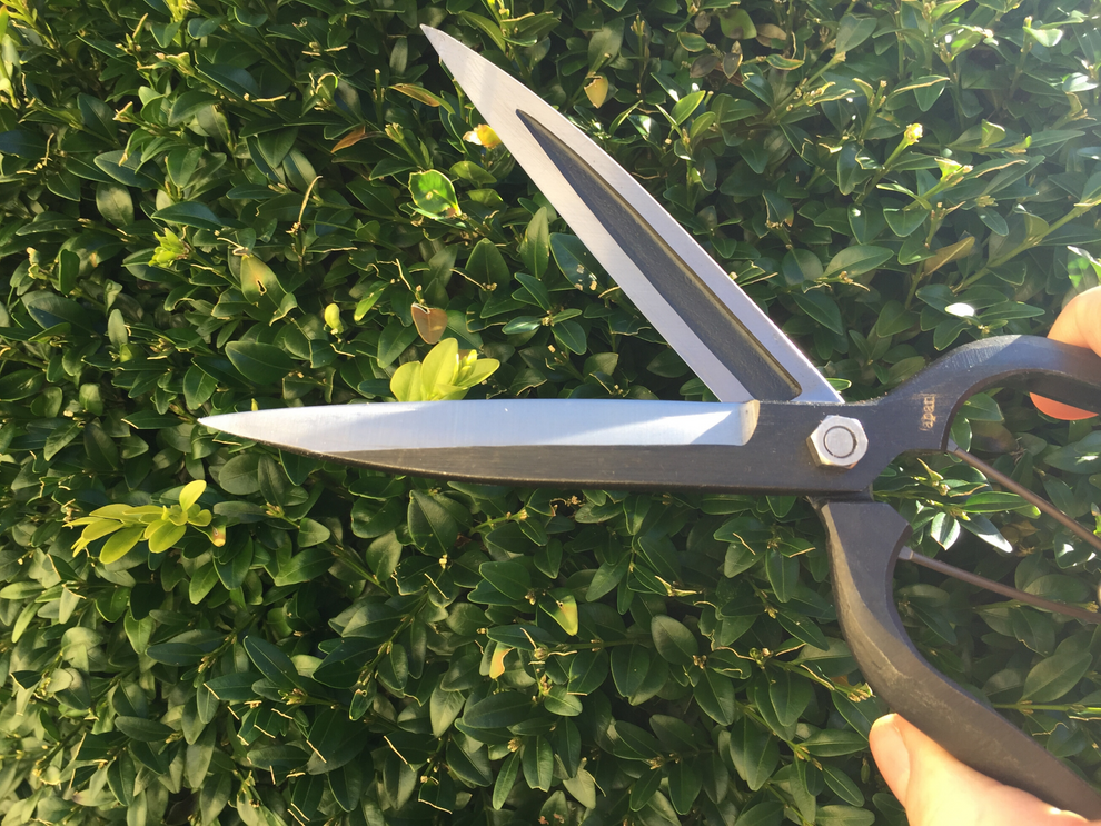 Niwaki Sentei Topiary Clippers – Tinker and Fix